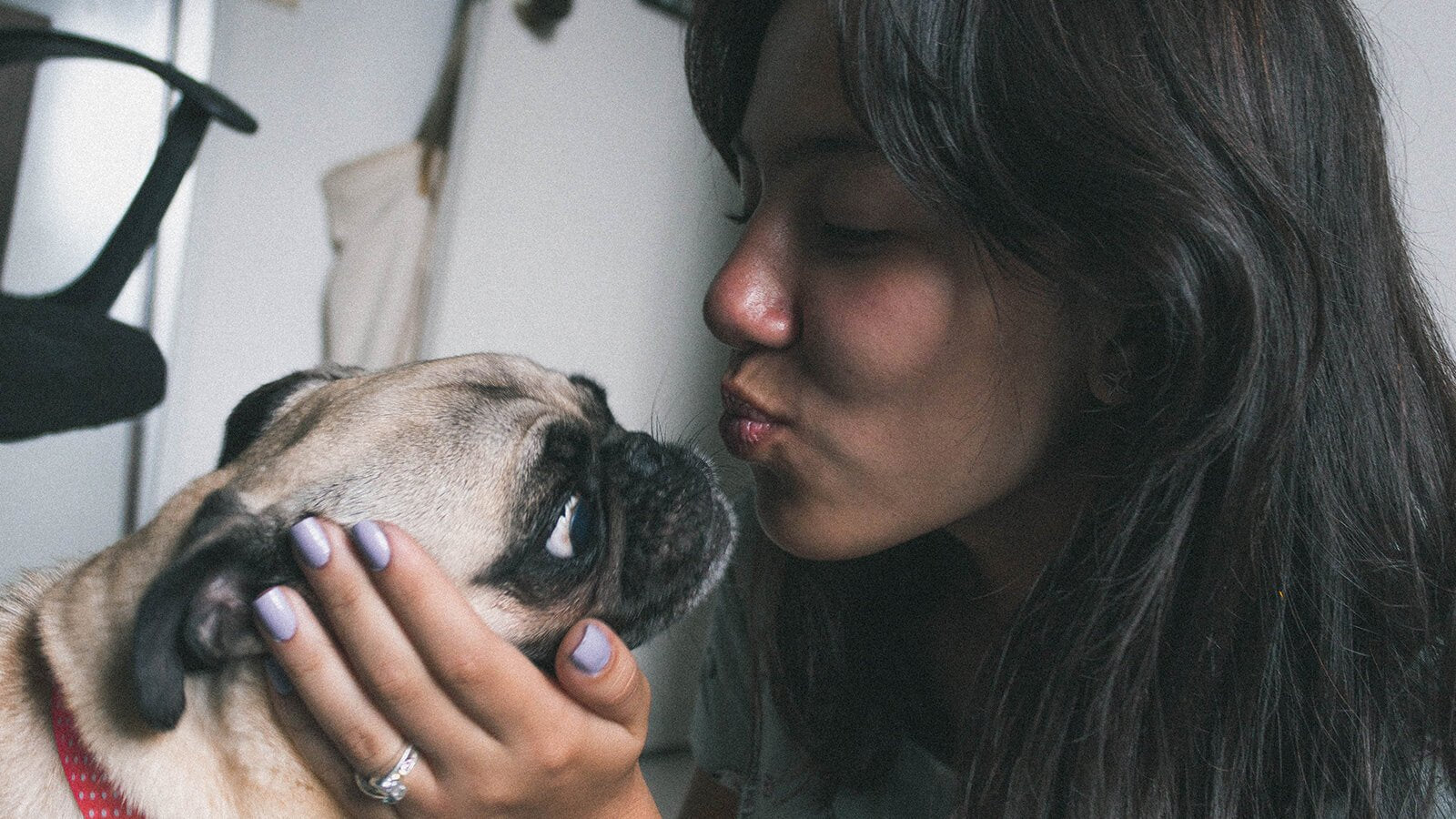 10 Things Dog Owners Do | Open Farm – Open Farm - Australia