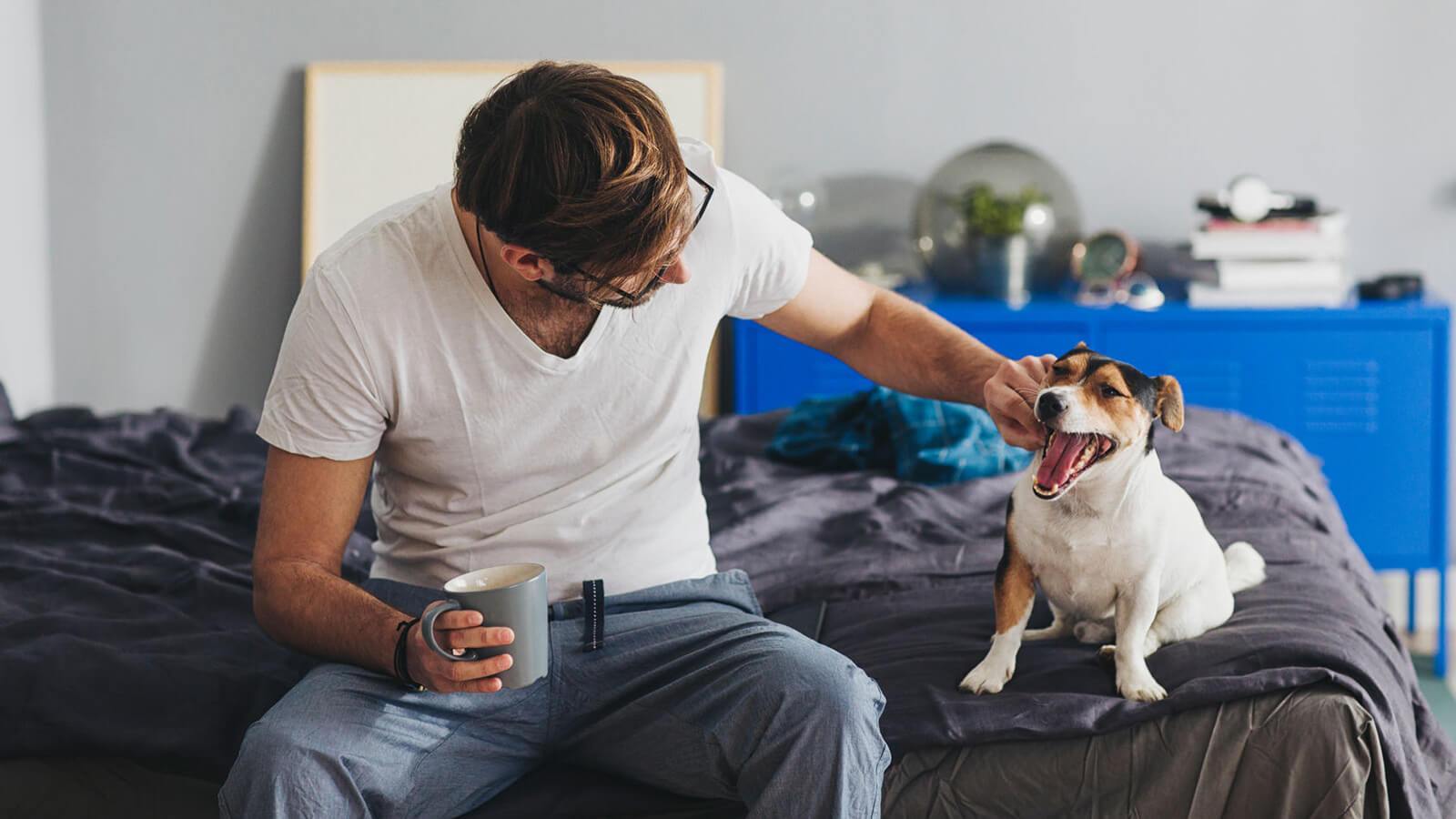 7 Benefits of Having a Dog | Open Farm – Open Farm - Australia