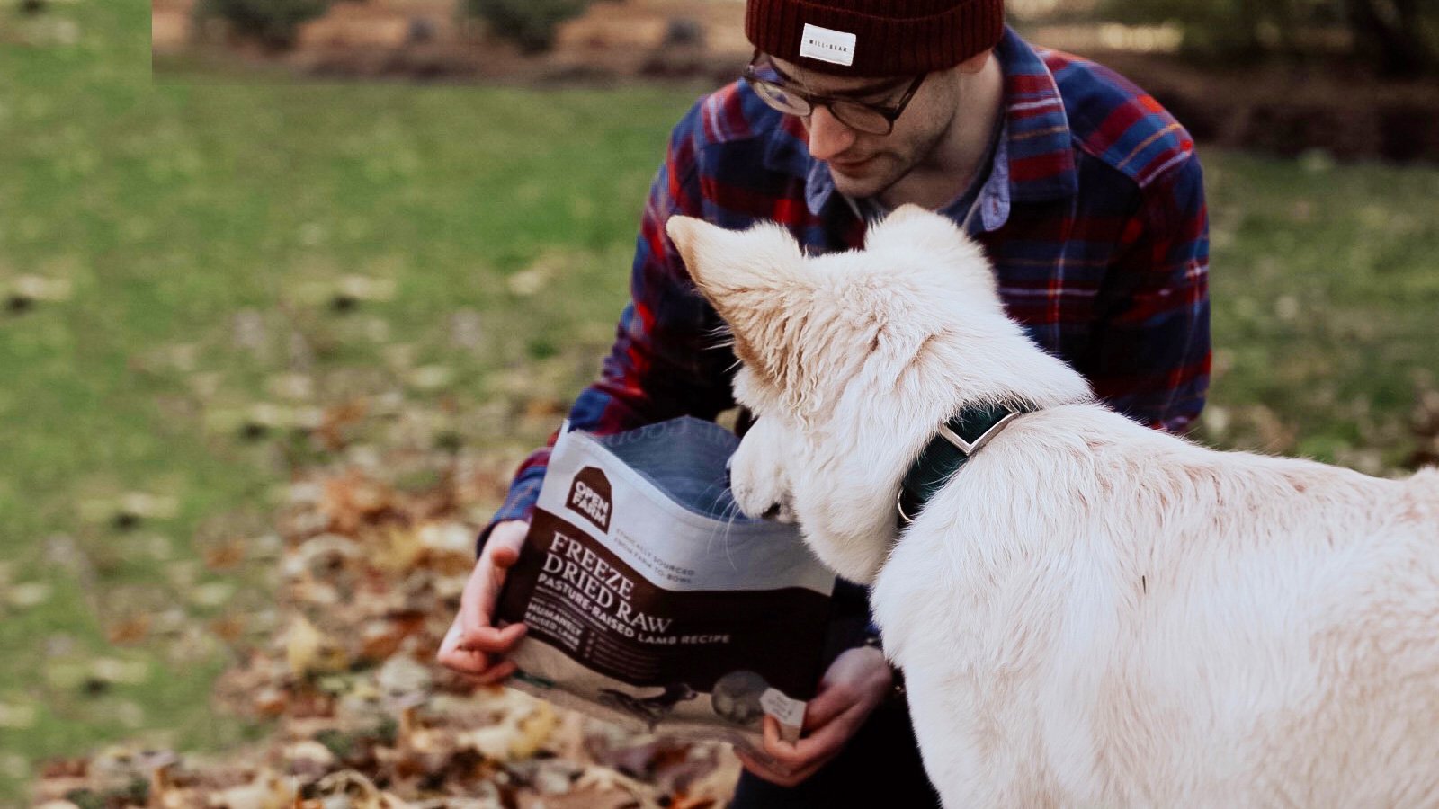 4 Ways to Celebrate National Dog Week With Your Dog! – Open Farm ...