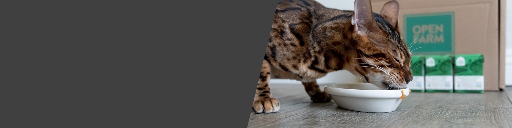 High Protein Wet Cat Food – Open Farm - Australia